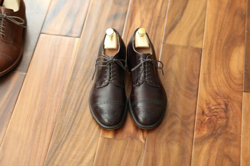 Alden N0505 Burgundy Calfskin Medallion Tip Blucher | Alden Model Project