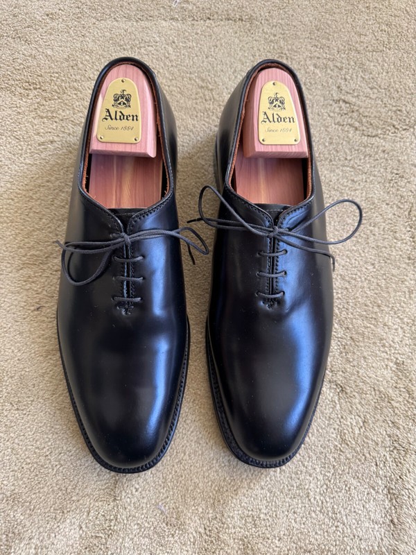 Alden D7301 Black Shell Cordovan Wholecut | Alden Model Project